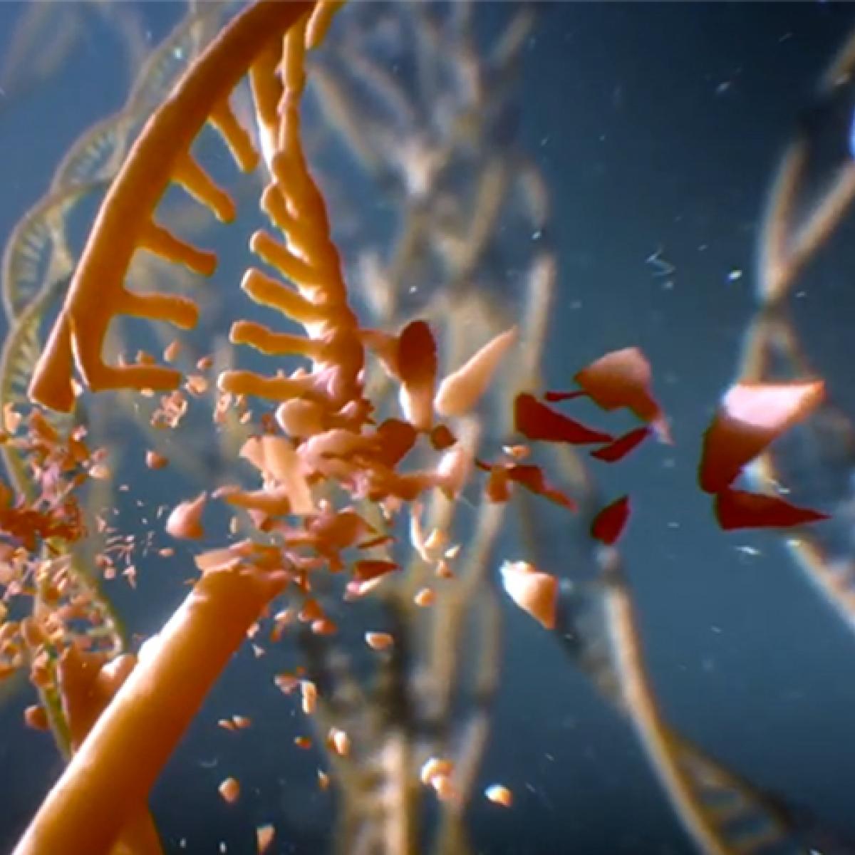 La thérapie génique : c’est quoi au juste ? | AFM Téléthon