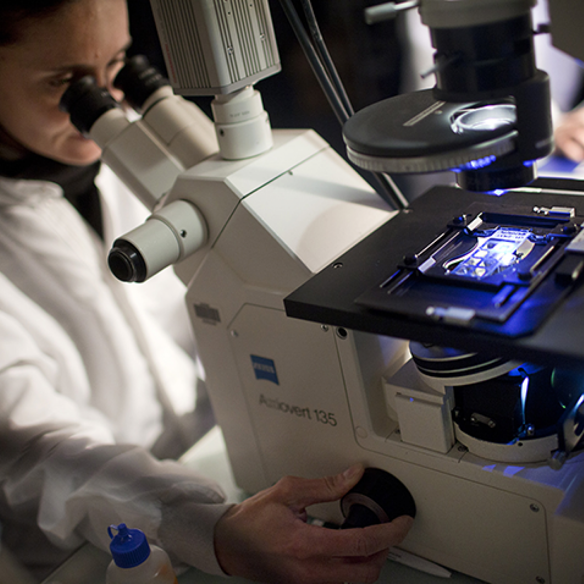 Thérapie génique de l’amyotrophie spinale : accord entre Généthon et ...