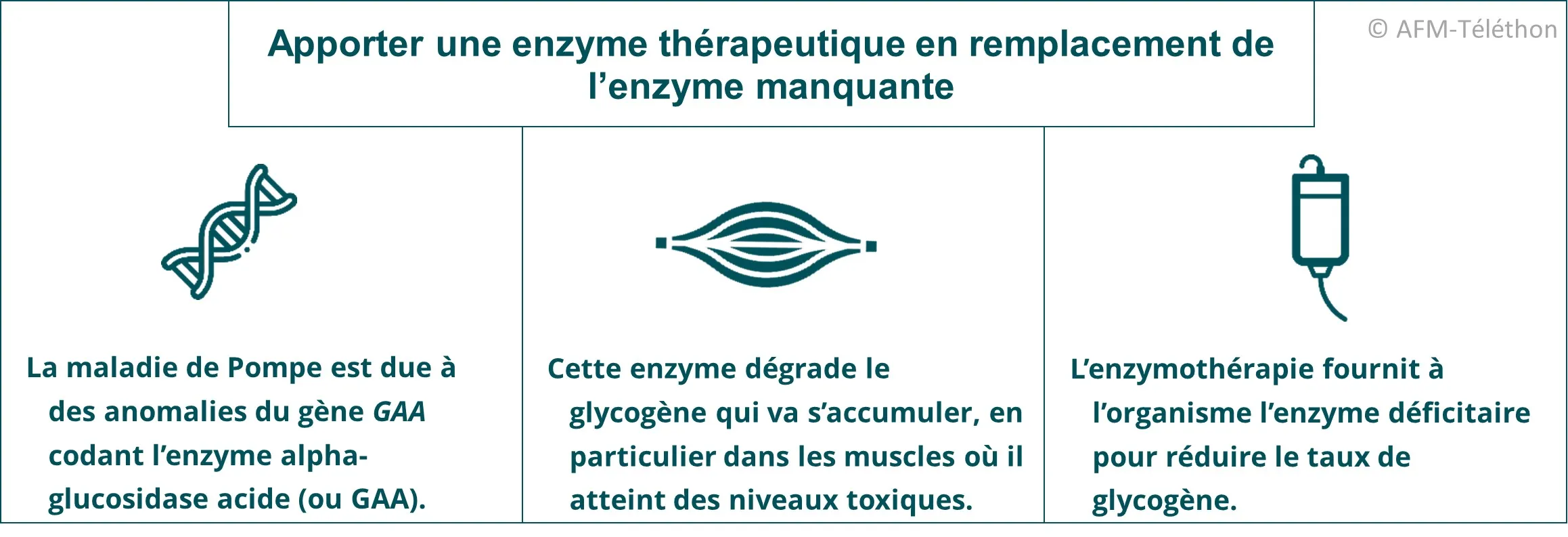 Maladie de Pompe : où en sont les traitements par enzymothérapie ...